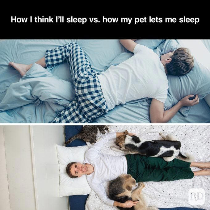 43 Sleep Memes That’ll Keep You Up All Night Laughing