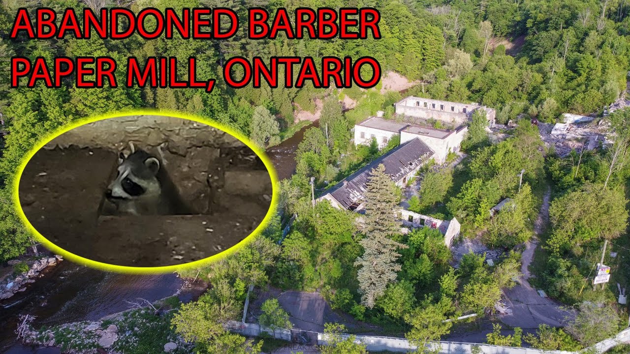 Abandoned: Exploring Abandoned Barber Paper Mill, Georgetown, Ontario