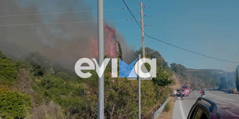 Μεγάλη φωτιά στην Εύβοια: Καίει ξερά χόρτα και πεύκα, σηκώθηκαν εναέρια ...