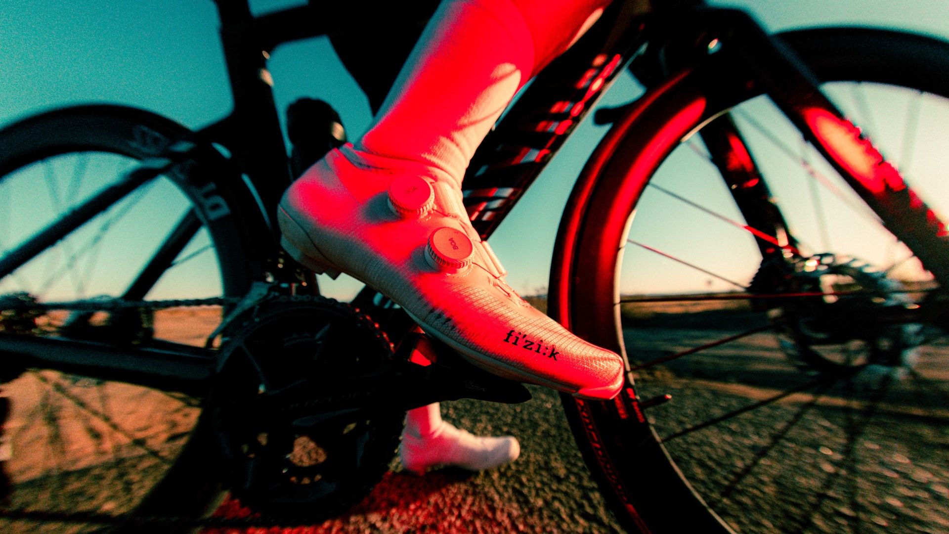 Fizik's new Vega Carbon road shoes are designed from the ground up, and ...