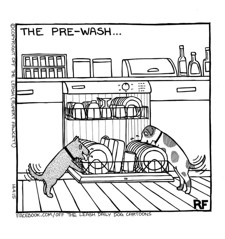 35 Funny Comics For Dog Lovers From Cartoonist Rupert Fawcett