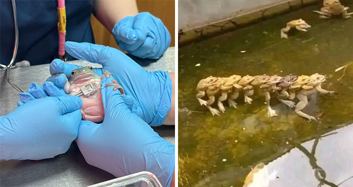 47 Cute And Funny Photos That May Show You A Different Side To These ...