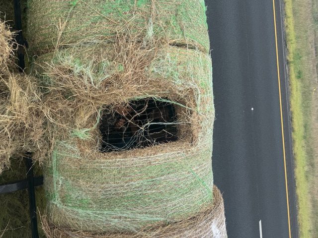 Photos: Altered hay bales used in Texas human smuggling attempt ...