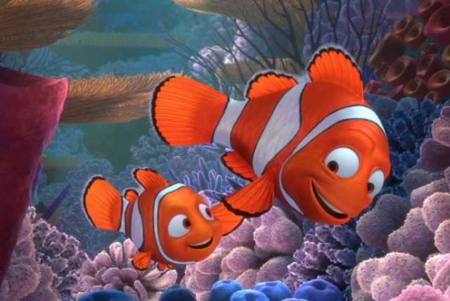El dato científicamente comprobado sobre 'Buscando a Nemo' que deja a ...