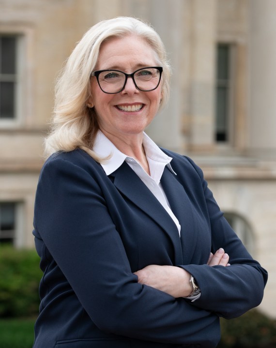 A look at two major primary elections that will determine Virginia ...