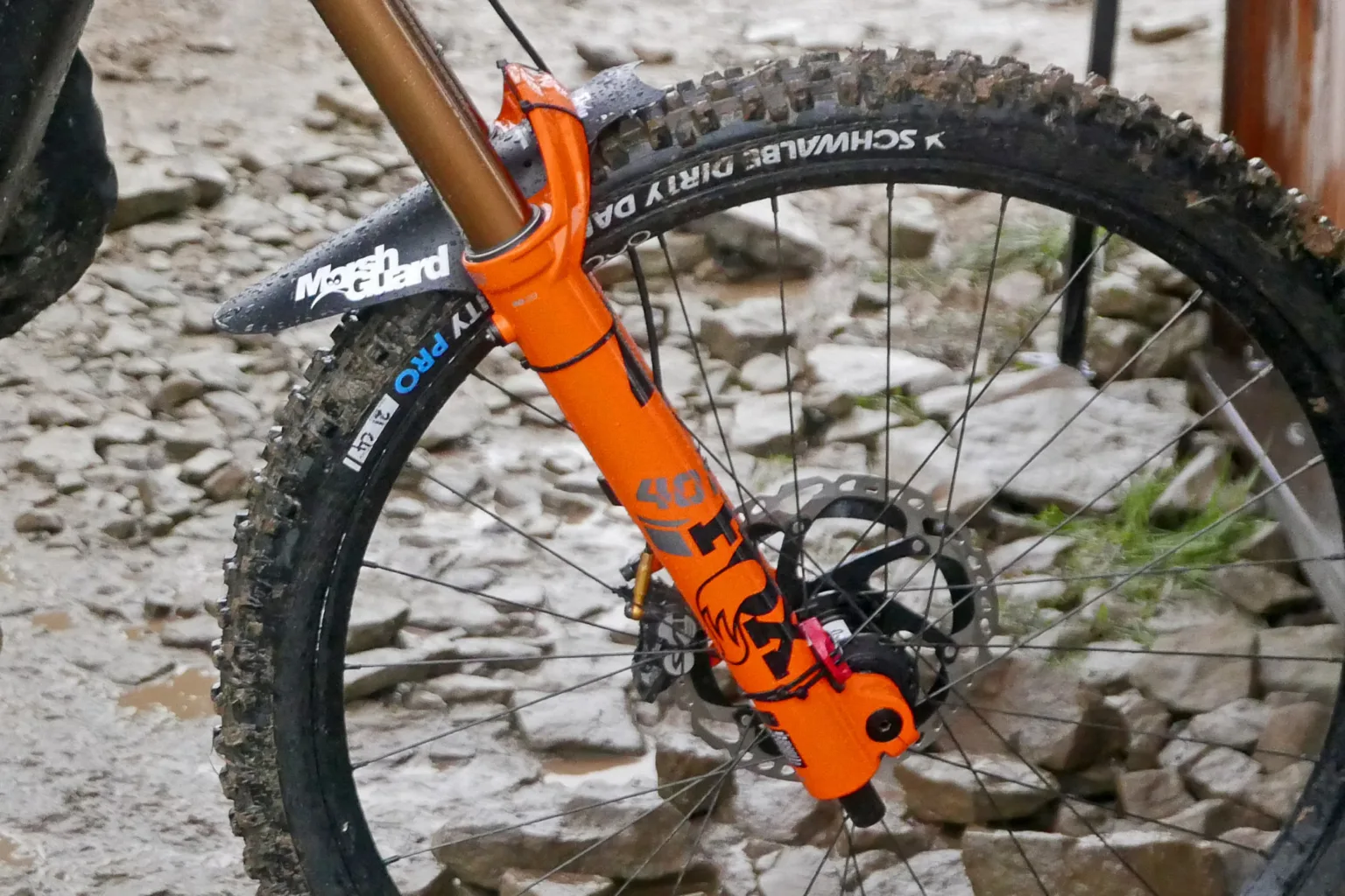 Spotted: New Schwalbe Dirty Dan Radials Rule Wet World Cup DH for ...