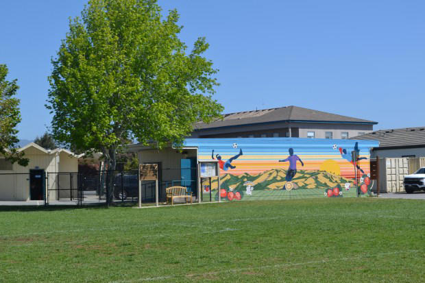 Ribbon-cutting ceremony to dedicate newly restored field at Freedom ...