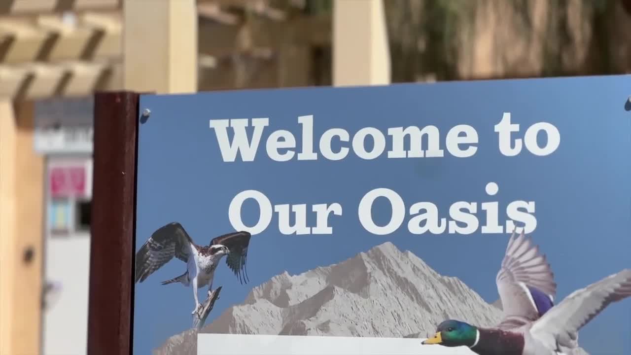 A rest stop for birds: How the Henderson Bird Viewing Preserve helps ...