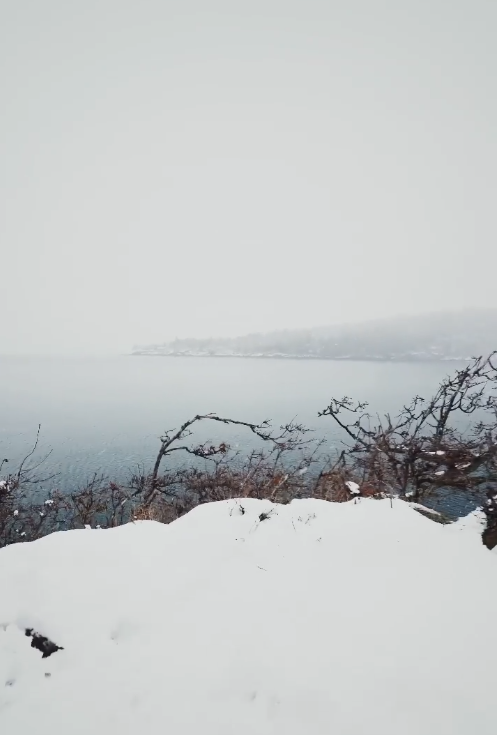 The Art of Storytelling Through Photos