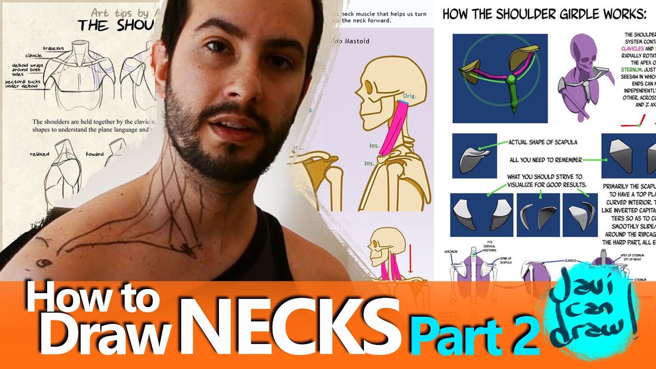 The Best Tutorials for Drawing Necks