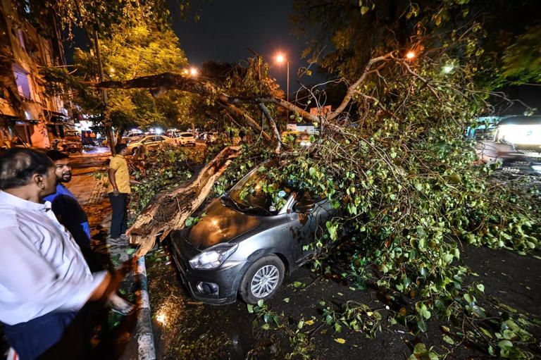 Hailstorm hits Delhi-NCR: 5 dead, trees uprooted, flights affected ...
