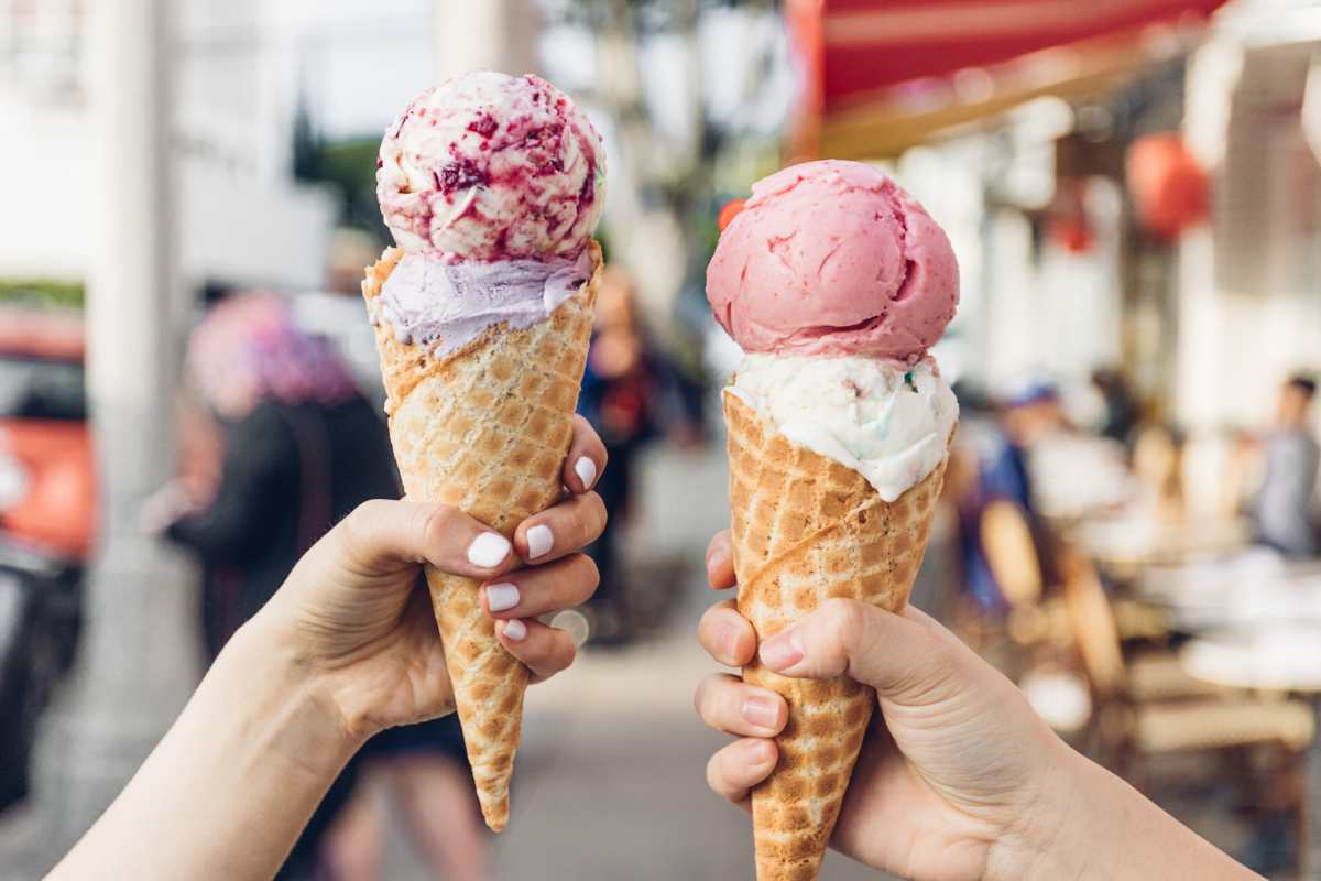 New Dining Spots in Seattle - TRIP MASTERY