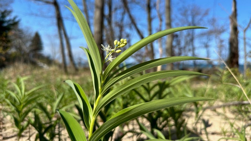 Exploring Michigan: Southwest Michigan Land Conservancy