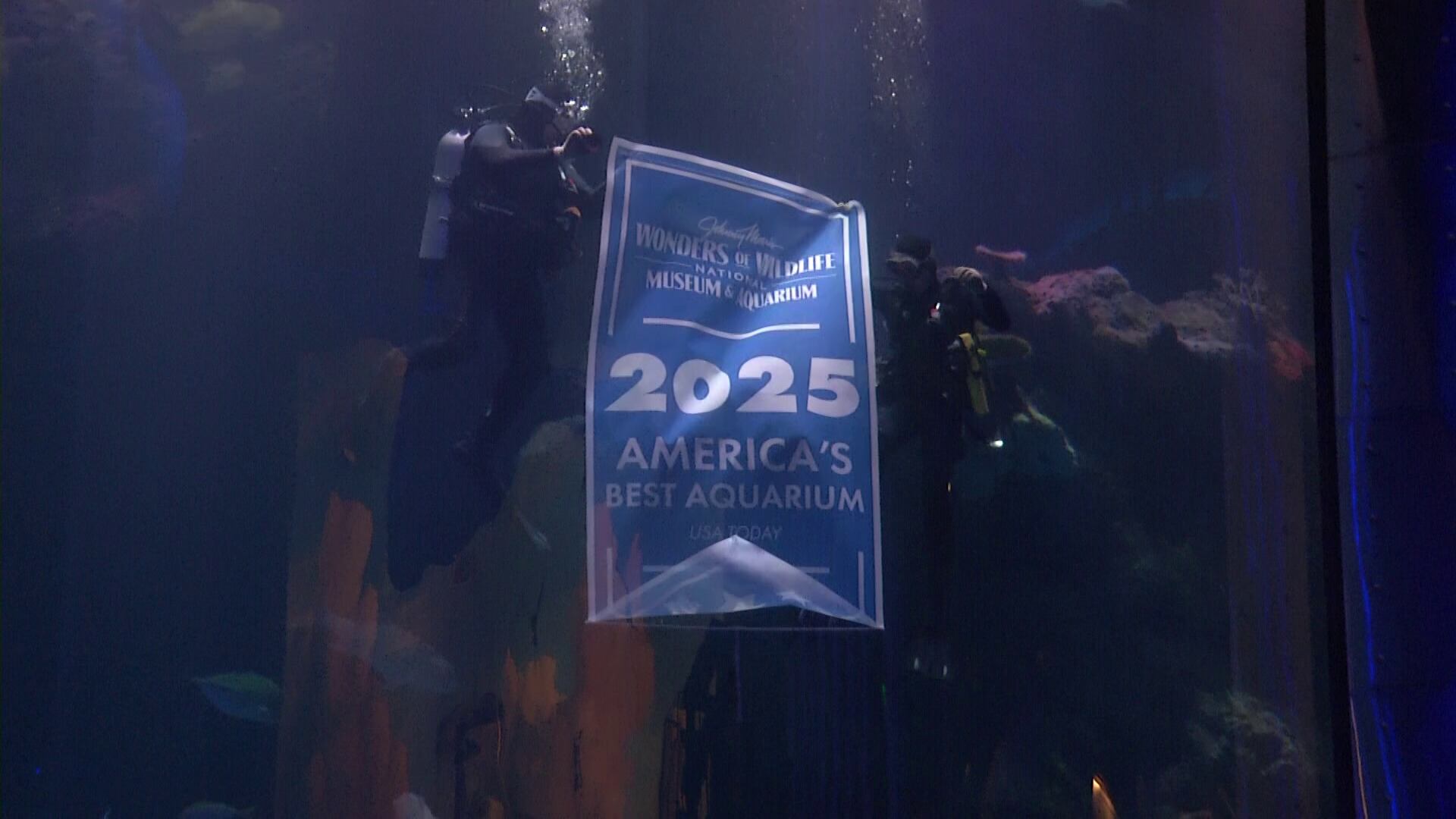 Springfield’s Wonders of Wildlife honored as nation’s top aquarium, again