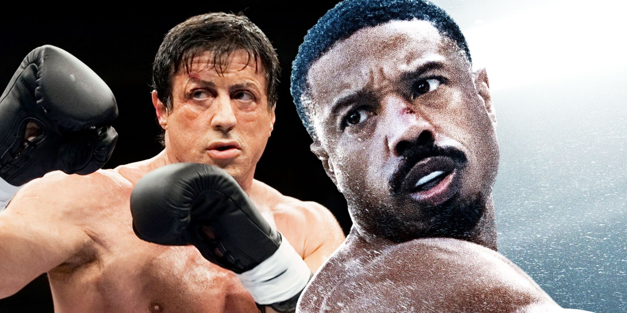 Sylvester Stallone's Favorite 2 Rocky Movies Show Why Creed Is The ...