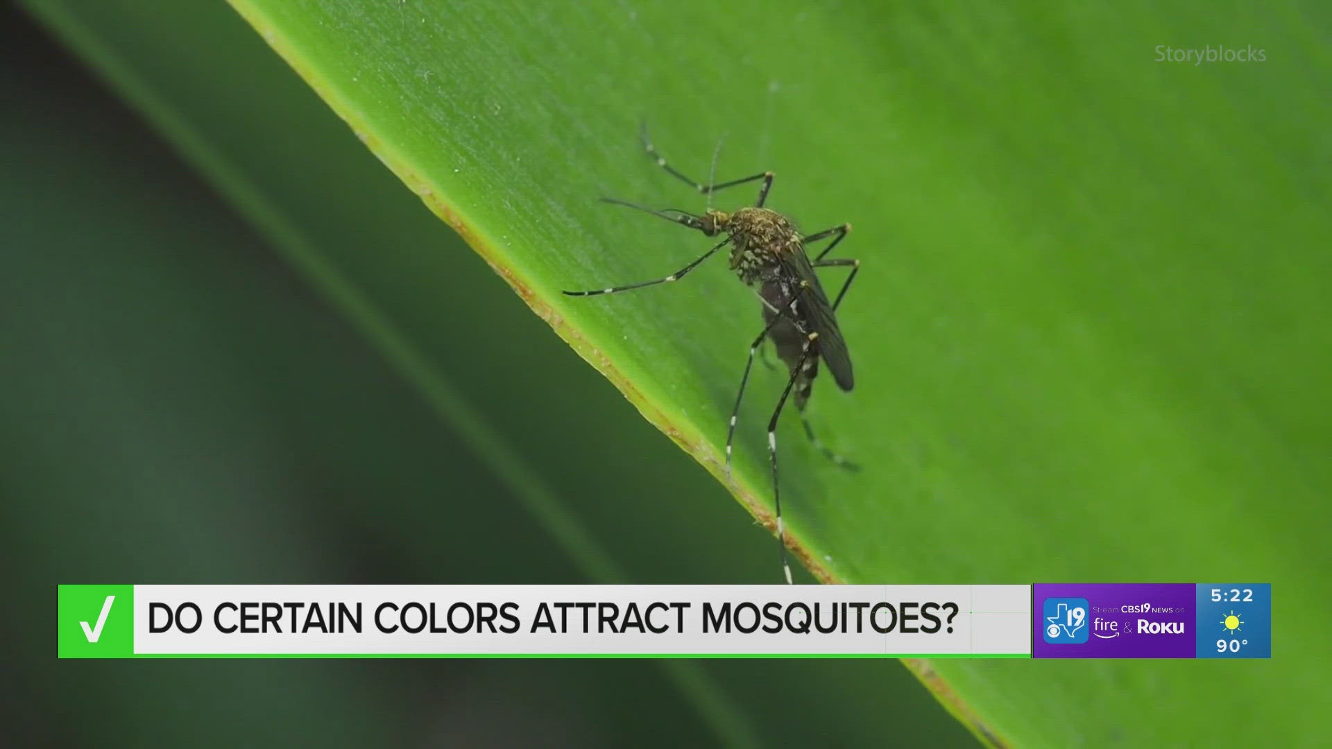 VERIFY: Do certain colors attract mosquitoes?