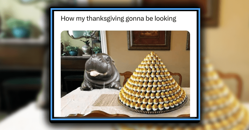 25 Mood-Boosting Mid-Week Memes From the Animal Kingdom