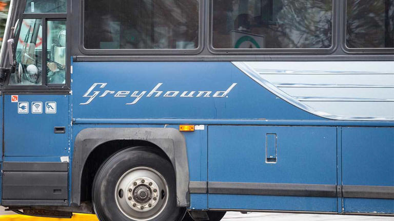 Greyhound bus driver recognized for helping passengers stay safe during ...
