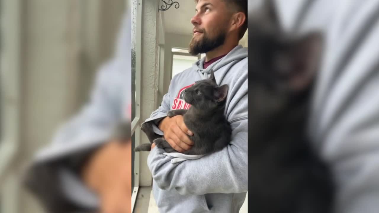 Family cat euthanized within two hours at Lee County shelter, raising ...