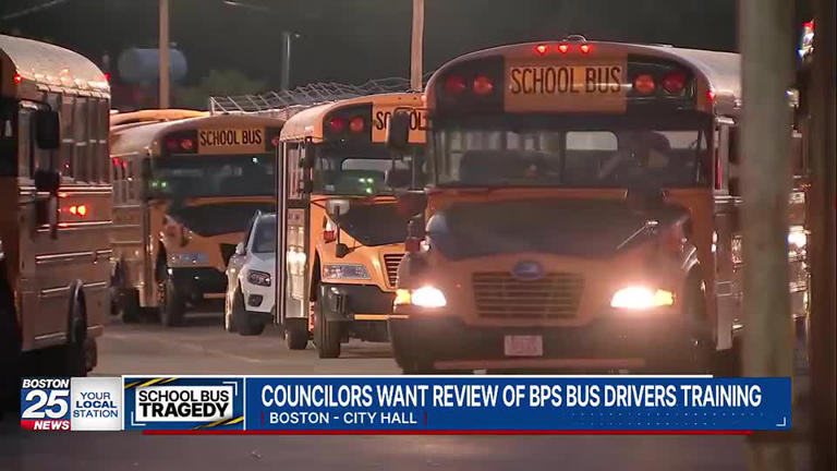 City councilors call for hearing, investigation into bus union Transdev ...