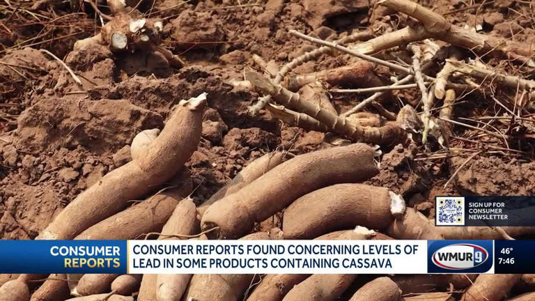 Consumer Reports finds concerning levels of lead in some cassava products