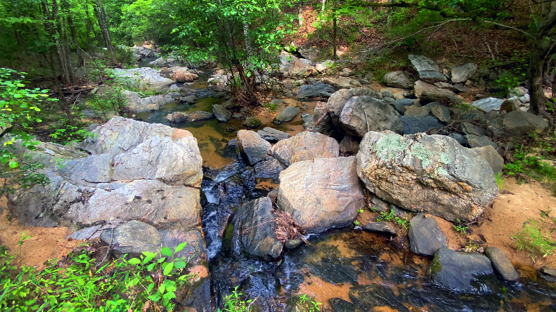 'There's something really special here.' Go inside the Upatoi Ravines ...