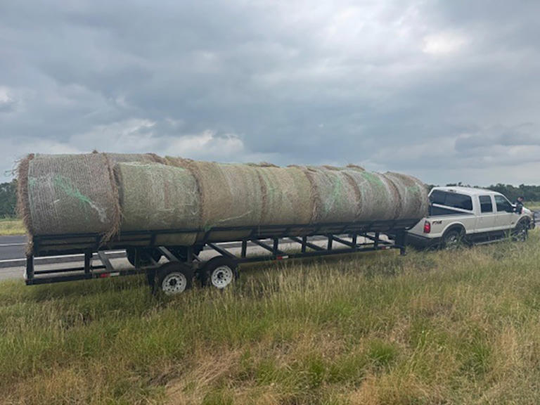 Texas sheriff discovers a dozen migrants hidden inside hay bales during ...