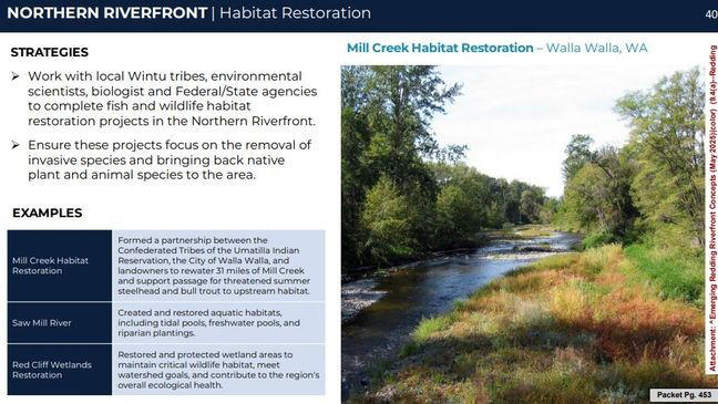 Redding's Riverfront plan evolves with community input, draft preparation moves forward