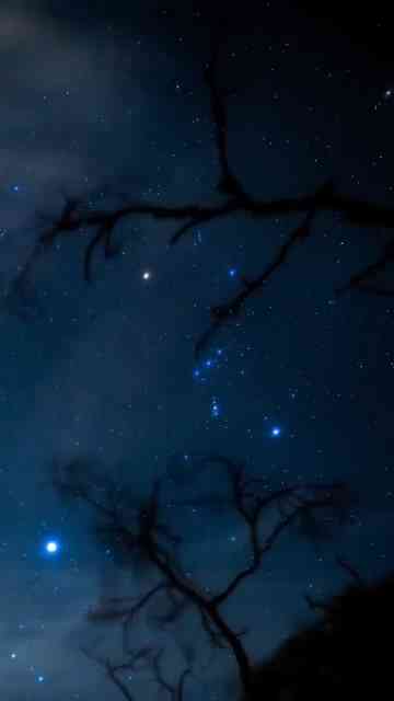 Un espectacular timelapse muestra a Orión, Sirio, Marte y el cúmulo de ...