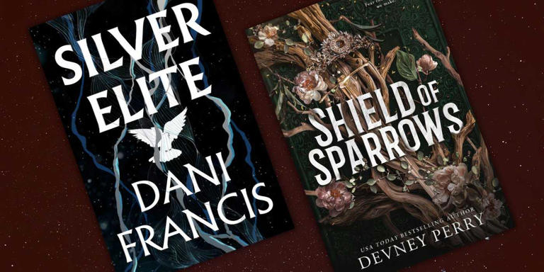 Silver Elite vs Shield Of Sparrows: Which Of BookTok's Buzzy Romantasy ...