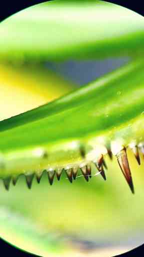 Incredible Bug Discovery – What Can We Learn From It?