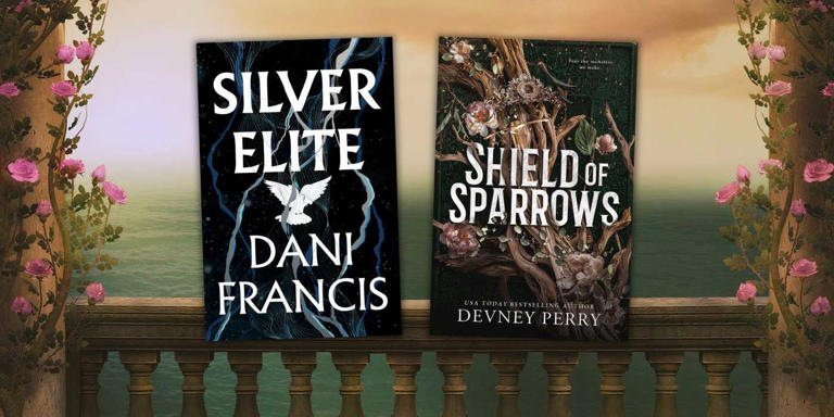 Silver Elite vs Shield Of Sparrows: Which Of BookTok's Buzzy Romantasy ...