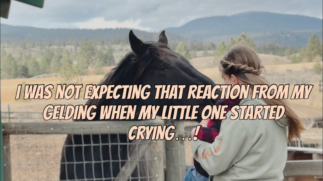 Hay Day and Little B Is Finally Awake to Meet Rudnik… Except It Didn’t ...