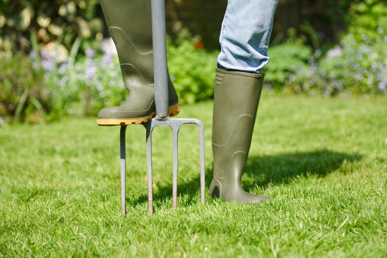 5 Lawn Care Tasks You Should Always Do Before Summer Starts