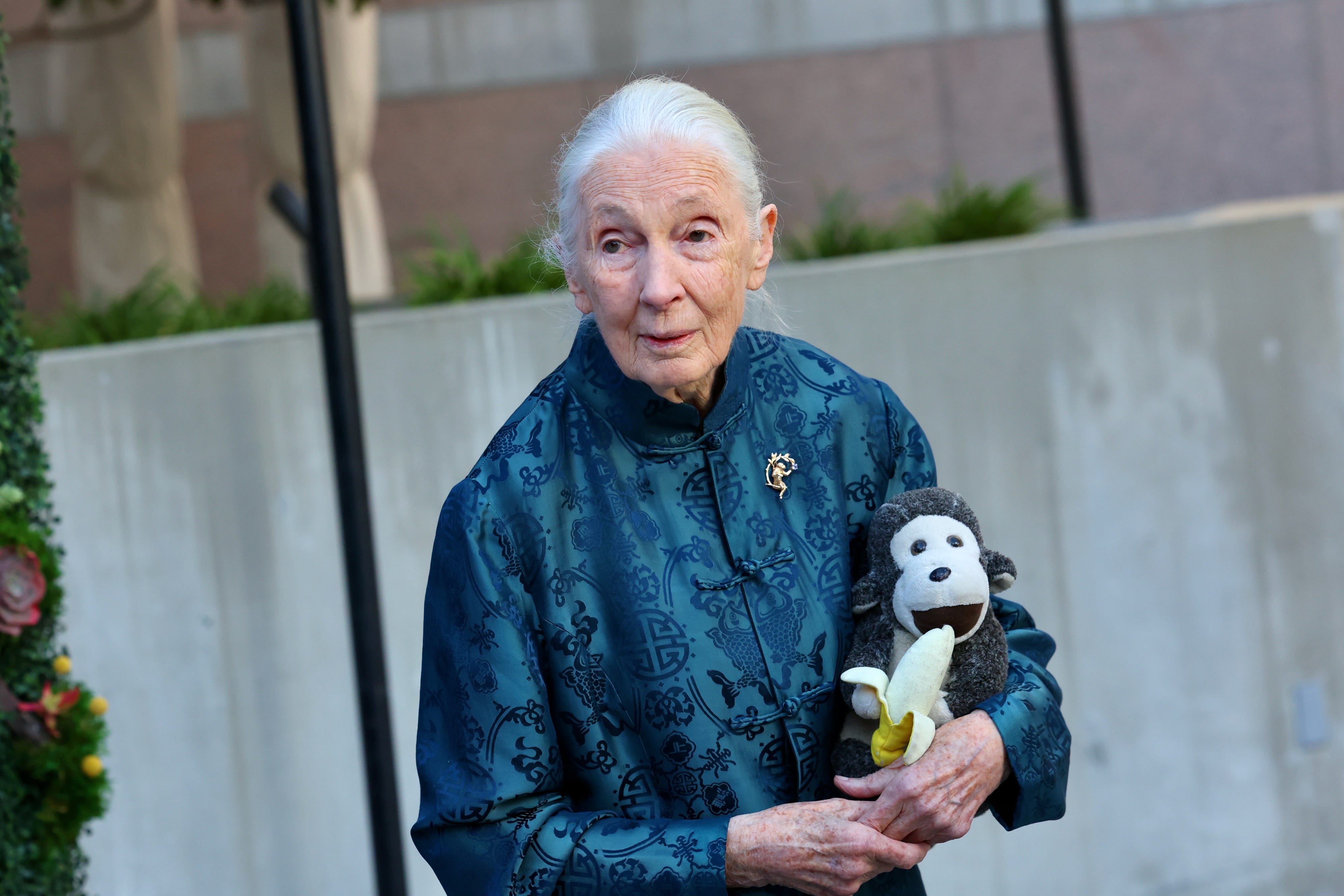 Jane Goodall, 91, on being objectified early in her career: 'If my legs ...