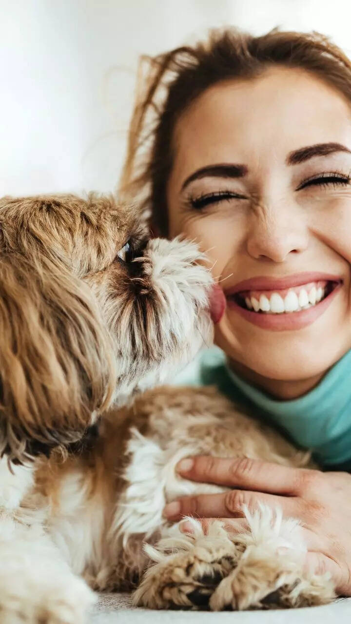 10 beautiful and intelligent animals to have as pets