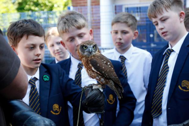 Students enjoy 'thrilling' visit from birds of prey