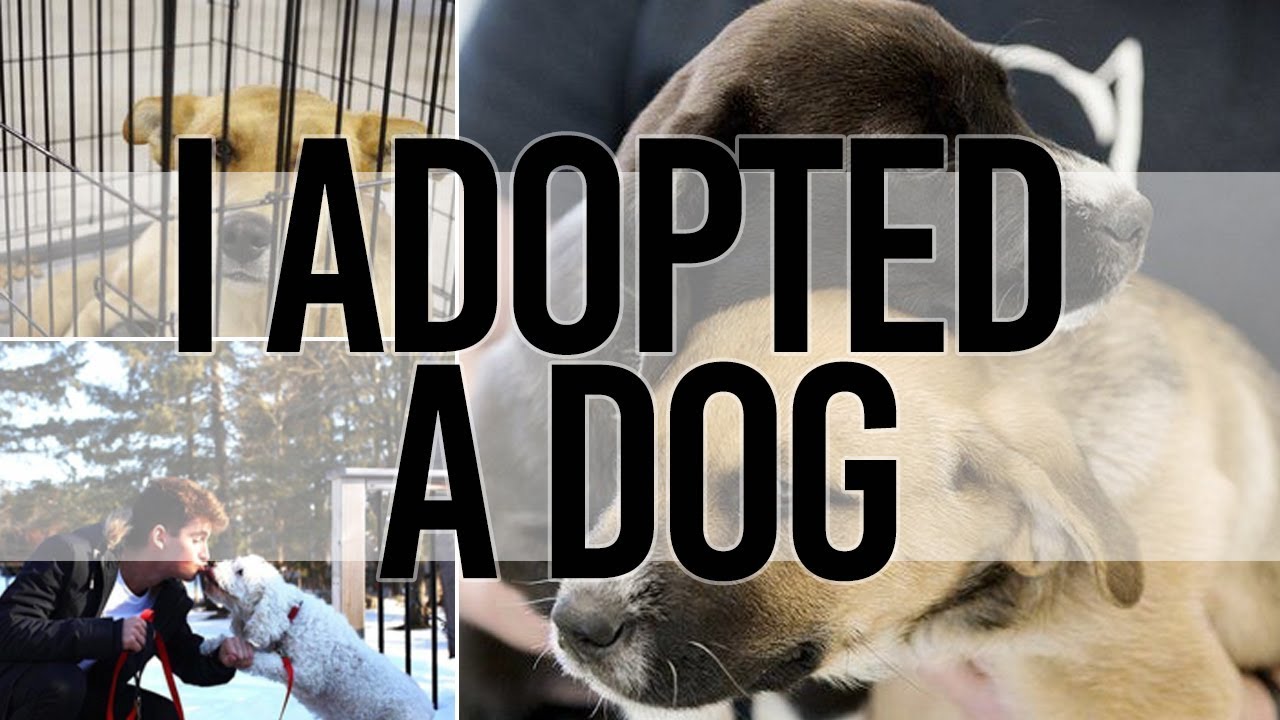 How to Help Someone Who’s Struggling in Silence