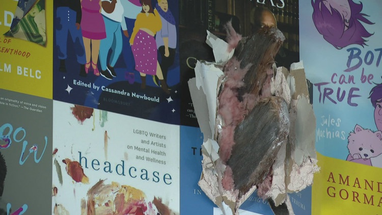 St. Louis Public Library temporarily closes 2 branches after extensive ...