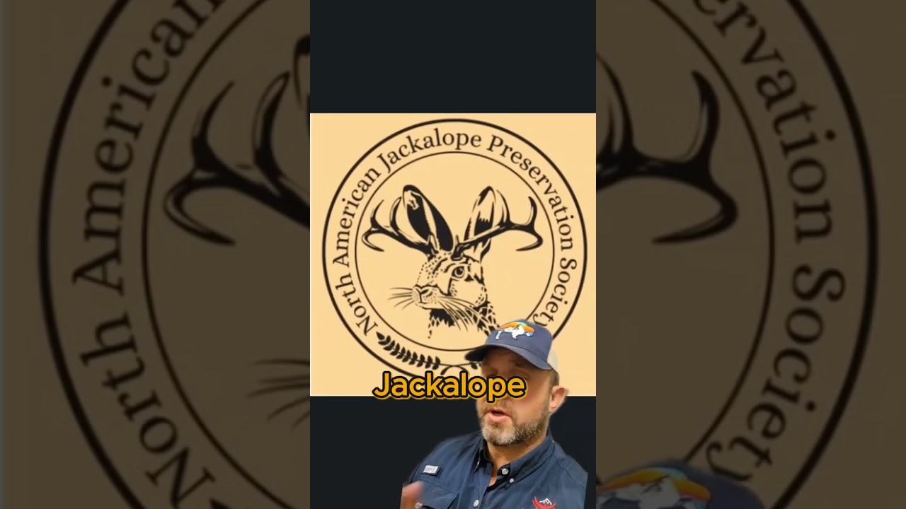 Inside the World of Exotic Game Hunting in U.S.