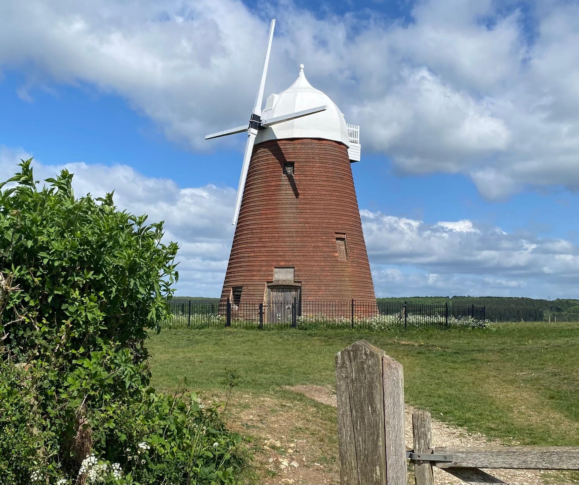 Rupert Toovey: The Halnaker of Holloway