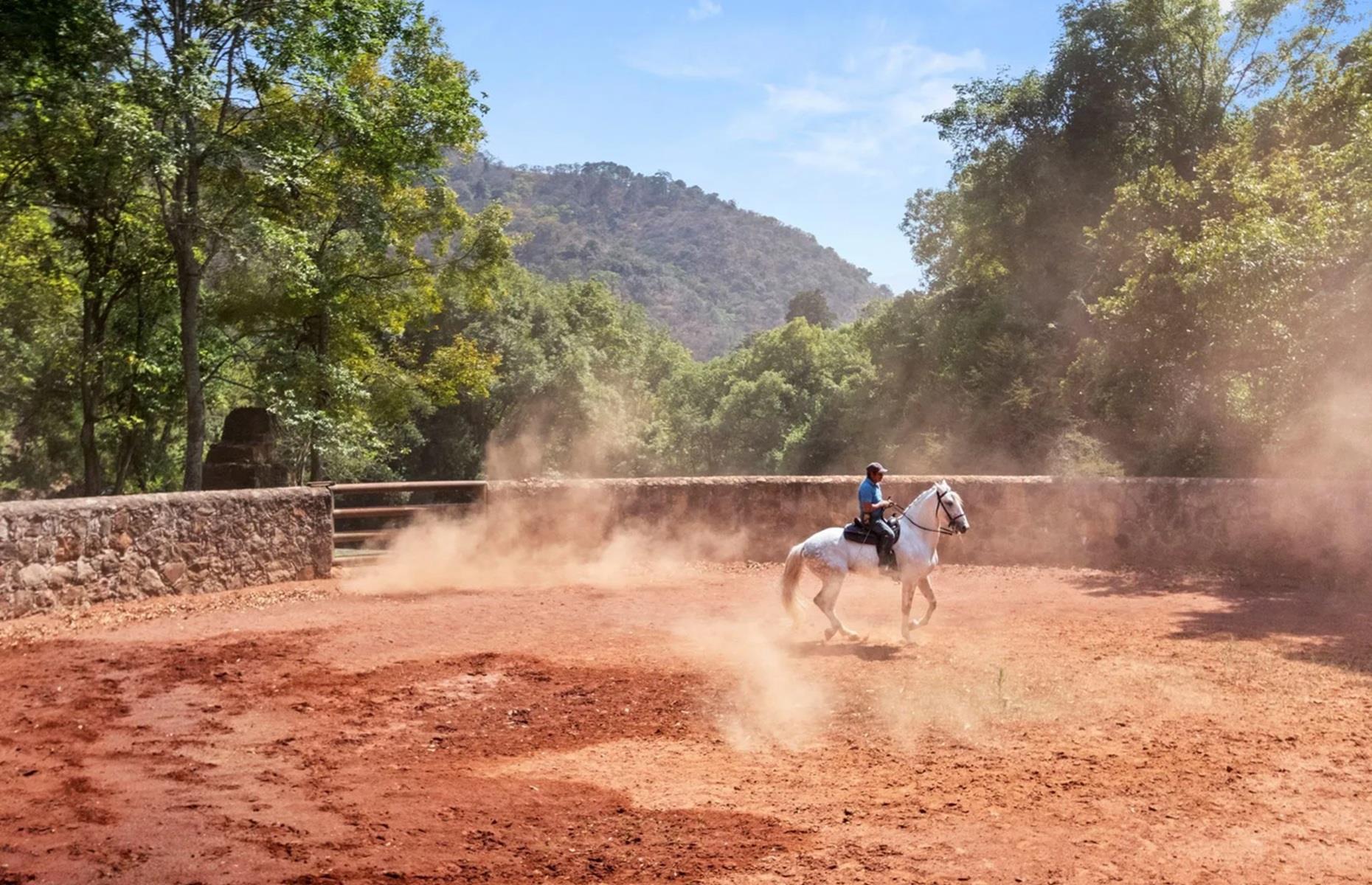 12 incredible equestrian estates that you (and your horse) will love