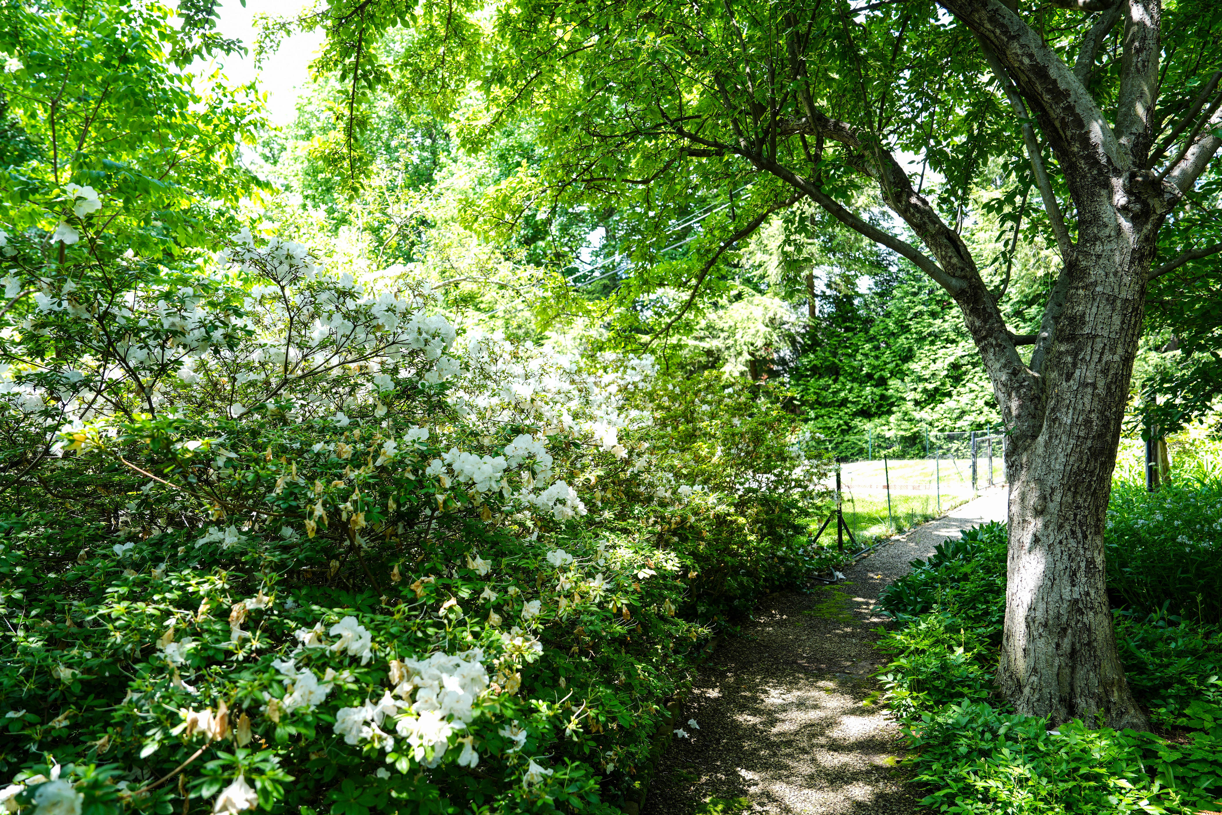 Spring 2026 is here! Here's what to know about today's vernal equinox