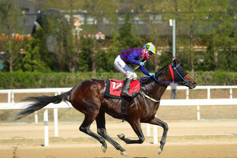 만년 우승 후보 글로벌히트 누가 막을까…25일 제20회 부산광역시장배 대상경주 개최