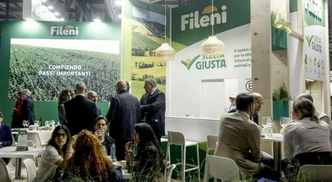 Simone Santini, dg Gruppo Fileni: «Con il sole nel logo inizia la nuova ...