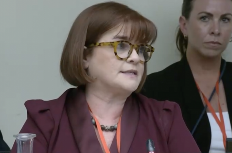 June 2026 now earliest date the National Children's Hospital will begin ...