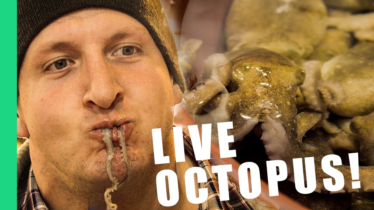 Would you eat a live octopus? | South Korea