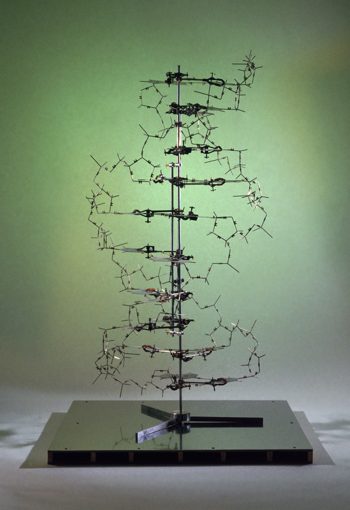 Women's stolen inventions and discoveries