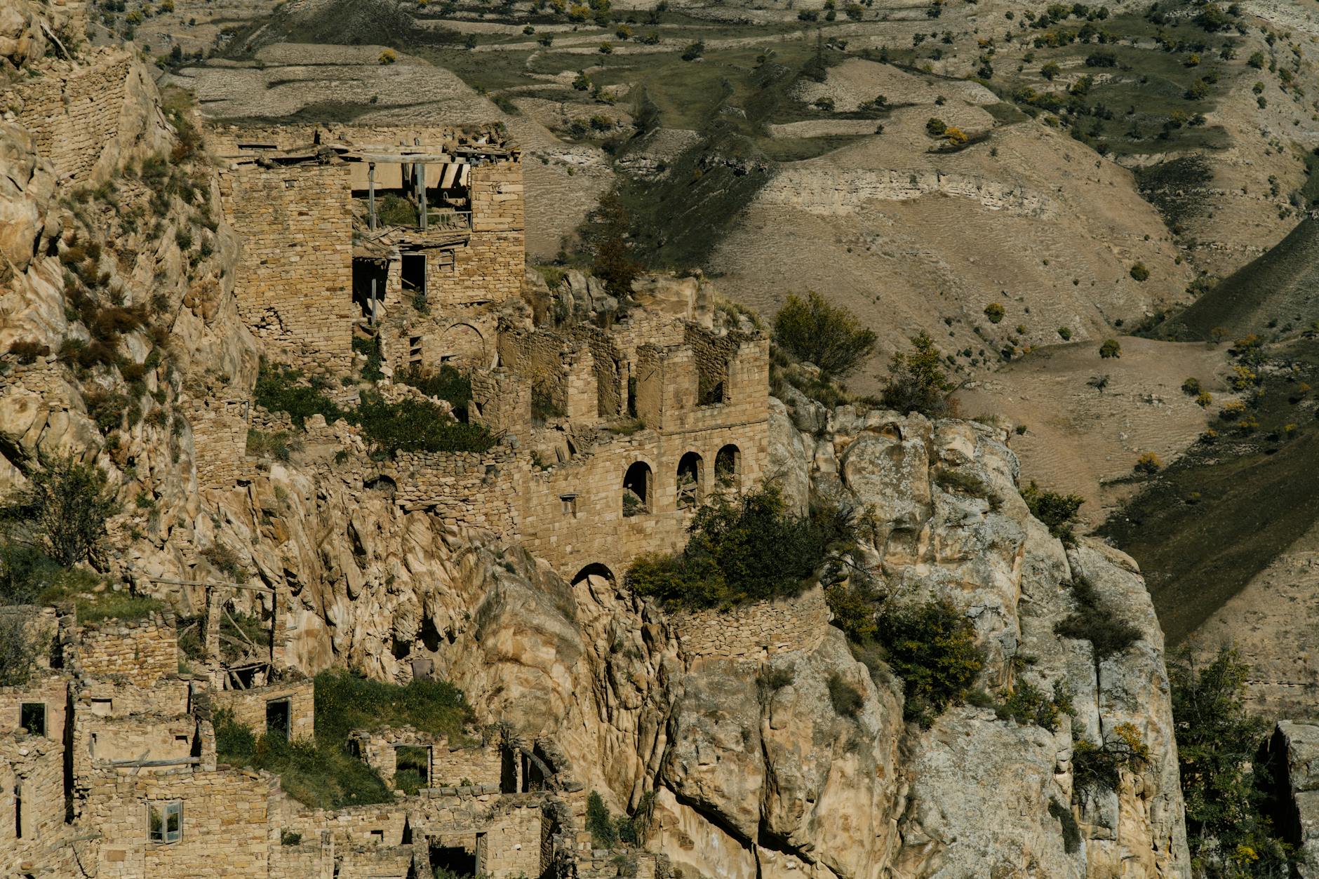 Unearthing the Enigma of Ancient Microbial Tunnels in Desert Rocks