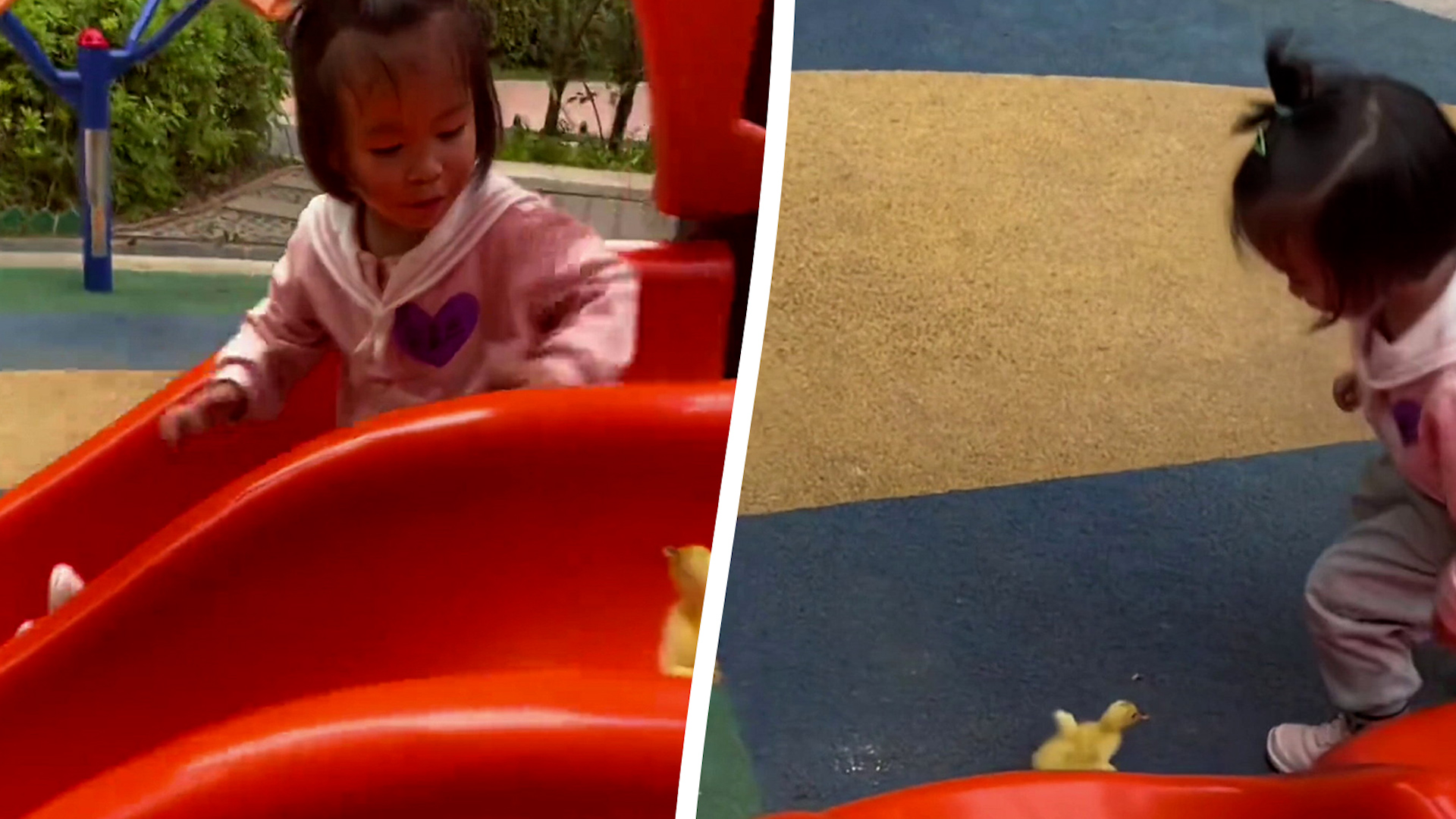 Haustier-Ente begleitet kleines Mädchen auf Spielplatz-Rutsche